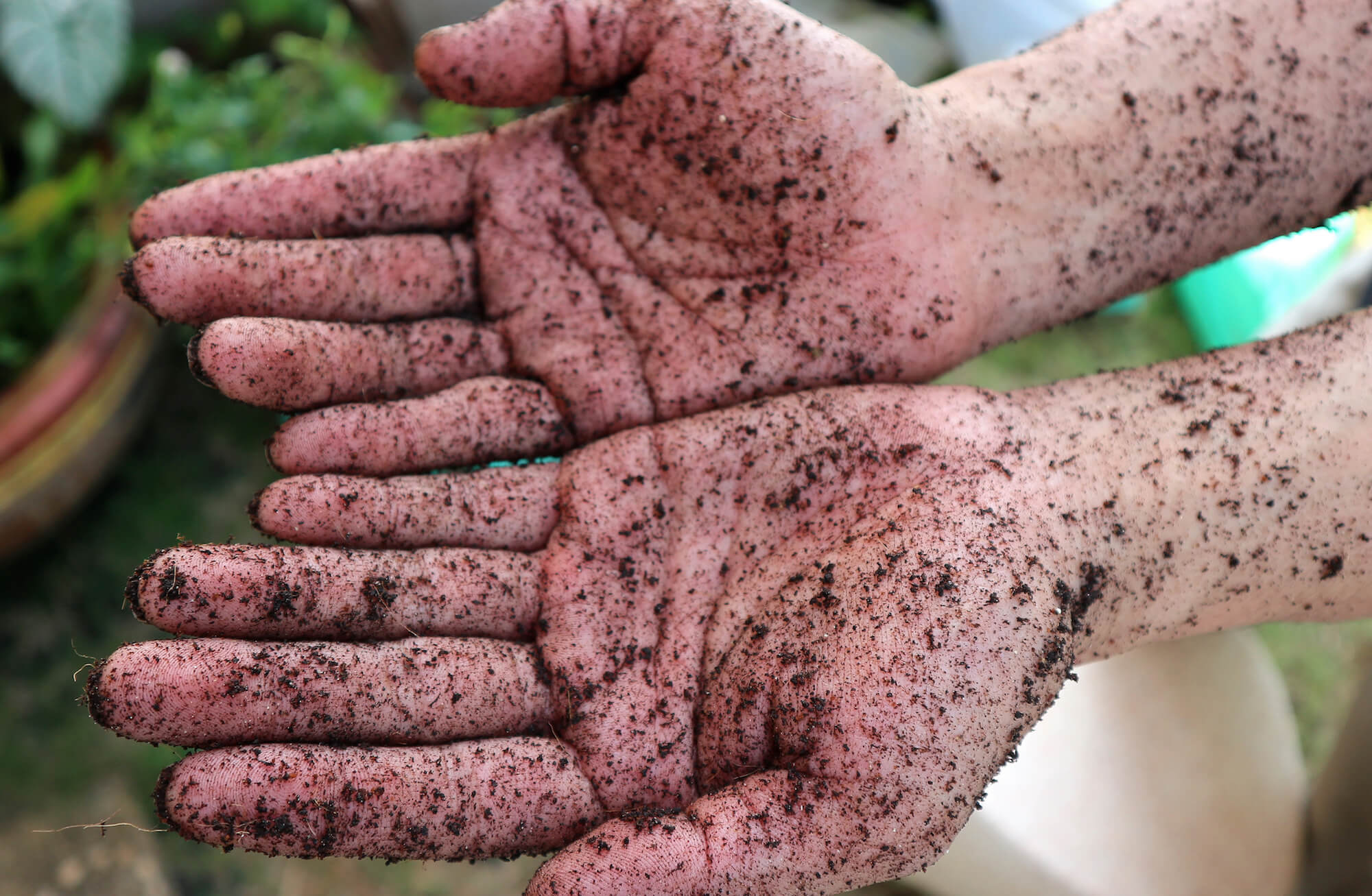 Antidepressant Microbes in Soil: How Dirt Makes You Happy - Living ... Antidepressant Microbes in Soil: How Dirt Makes You Happy - Living ...